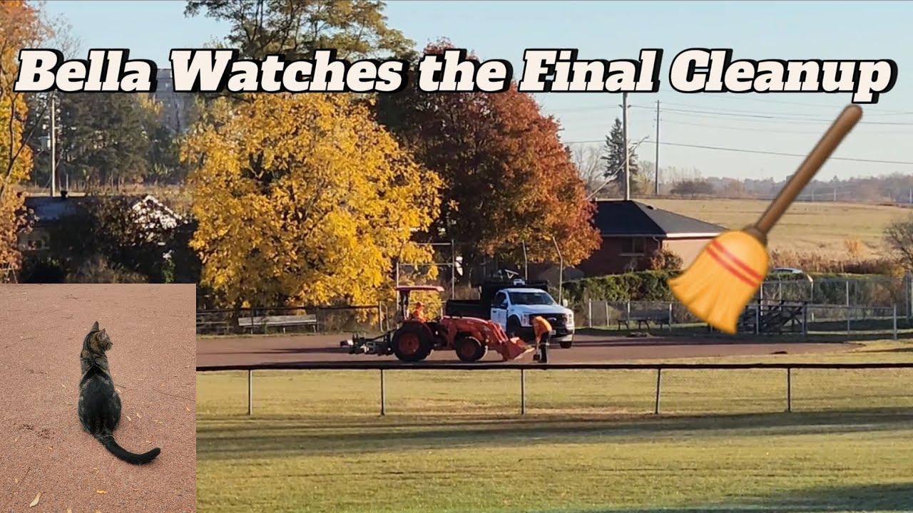 Kitty Watches the Final Cleanup 🧹😻 - YouTube