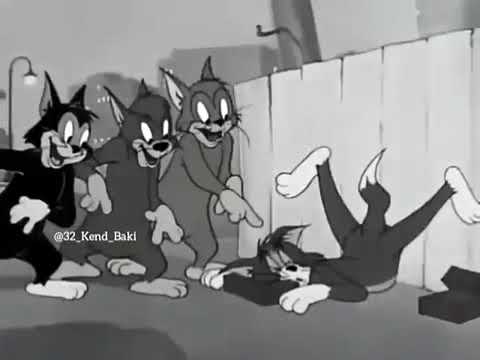 Super WhatsApp üçün status video(4)