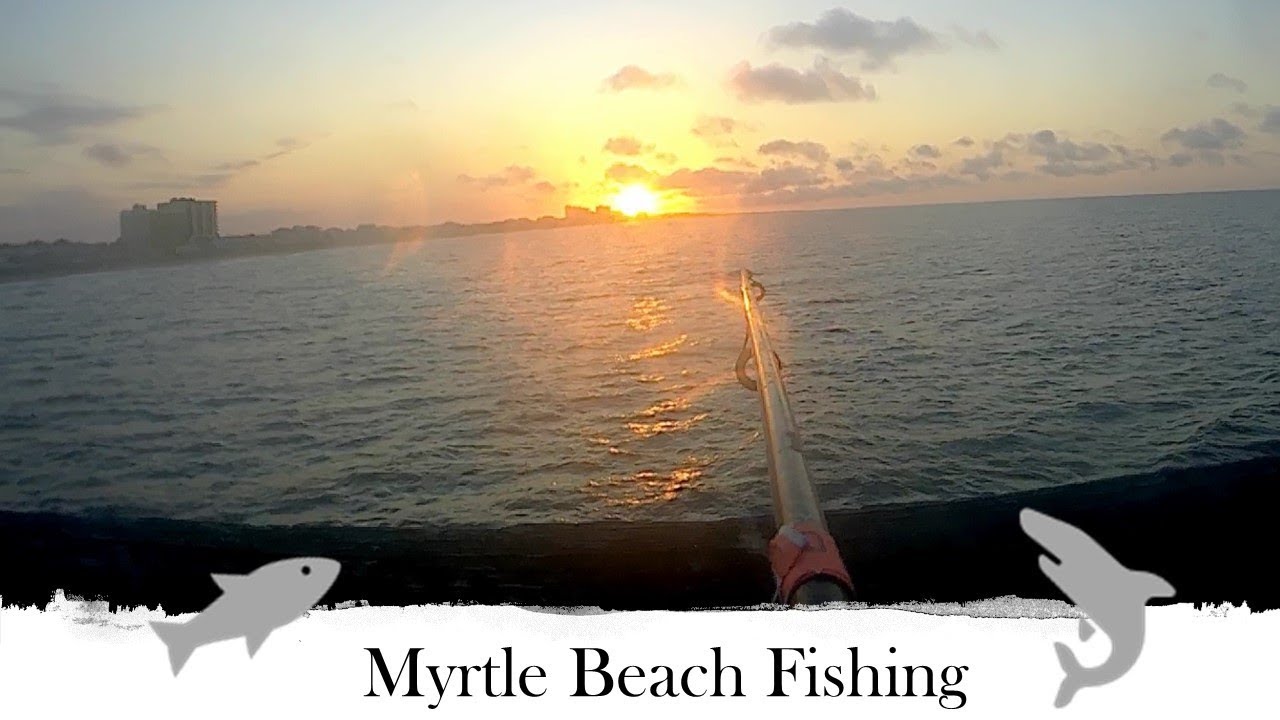Myrtle Beach Fishing (Surf and Pier) - YouTube