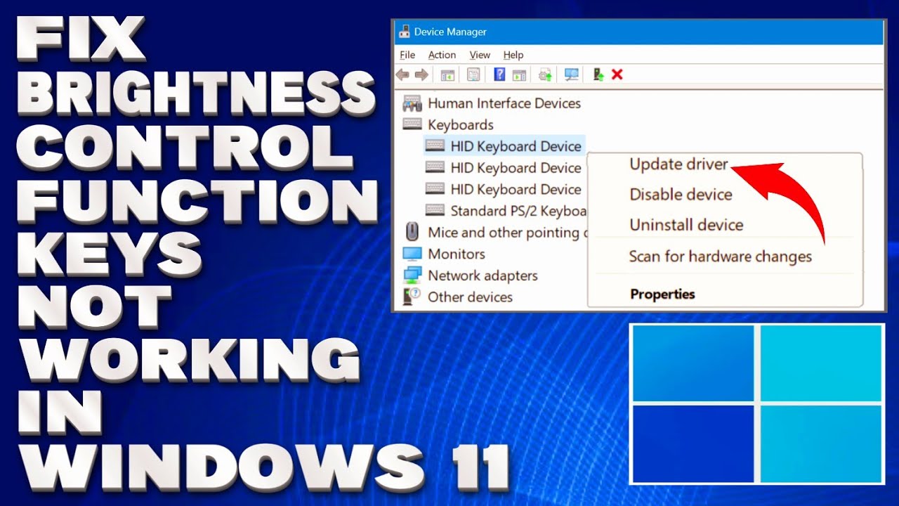 How To Fix Brightness Control Function Keys Not Working in Windows 11/ ...