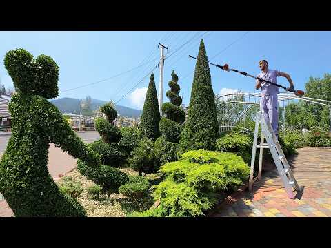 Tanrı Düzeyinde Çit Budaması — Bu Bahçe Sanatı!
