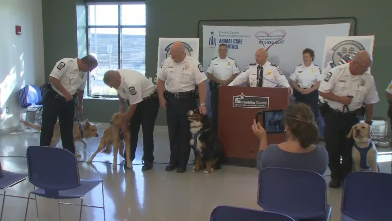 RAW: Columbus Police introduces new therapy dog unit - YouTube