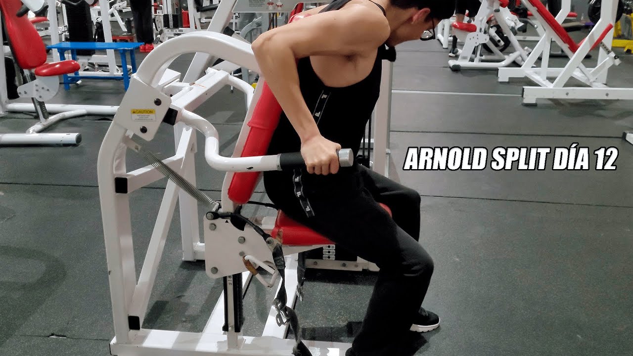 ARNOLD SPLIT DÍA 12 - HOMBRO Y BRAZO - YouTube