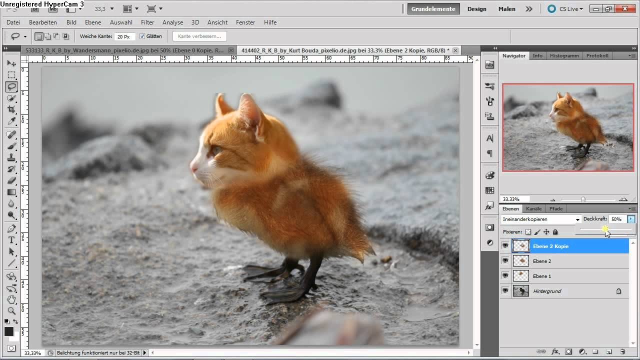 tk.pixilab.photoshop.catbird_002 - YouTube