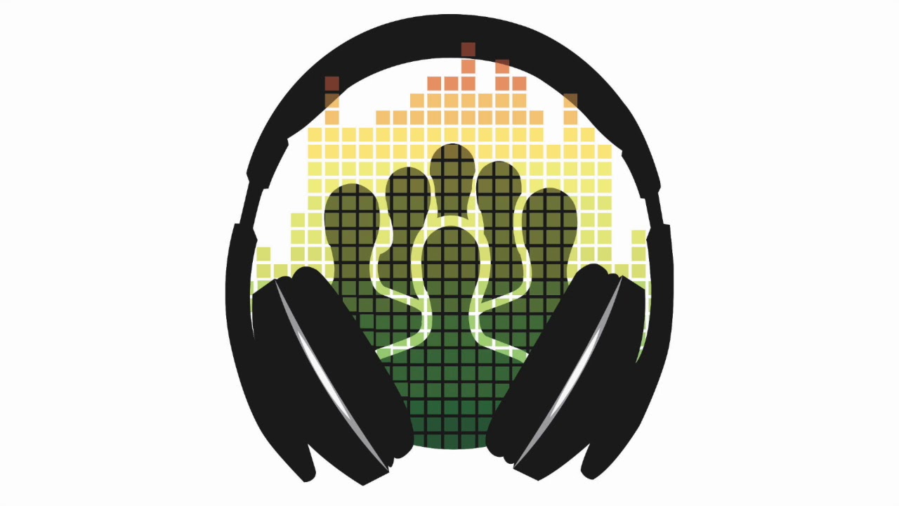 Primer Programa Informativo - Radio Estudiantil Pérez Rosales (6-11 ...