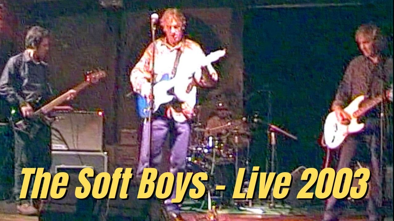 The Soft Boys live Sarzana Italy 2003 (Full Concert) - YouTube