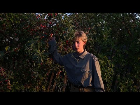 Death In Rome - Love Will Tear Us Apart (Joy Division - Cover)