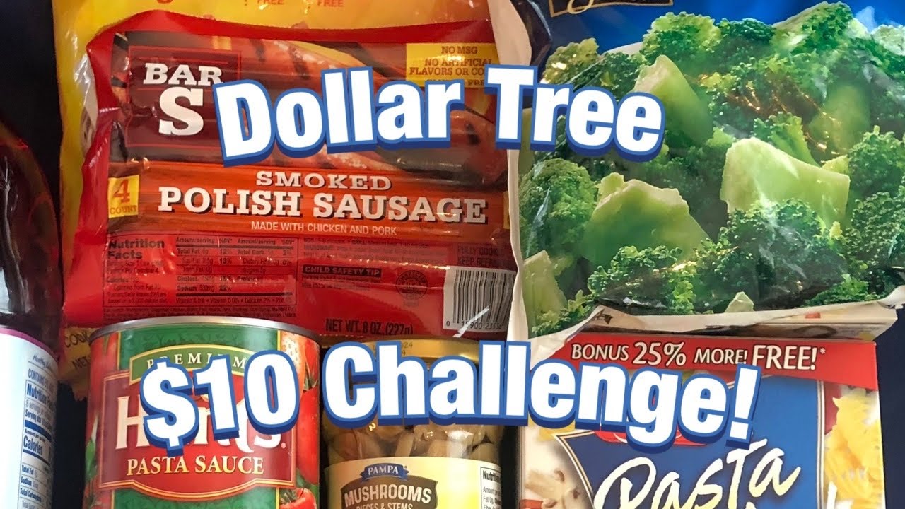 Dollar Tree $10 Challenge | Dollar Tree ten dollar challenge | Linda J ...