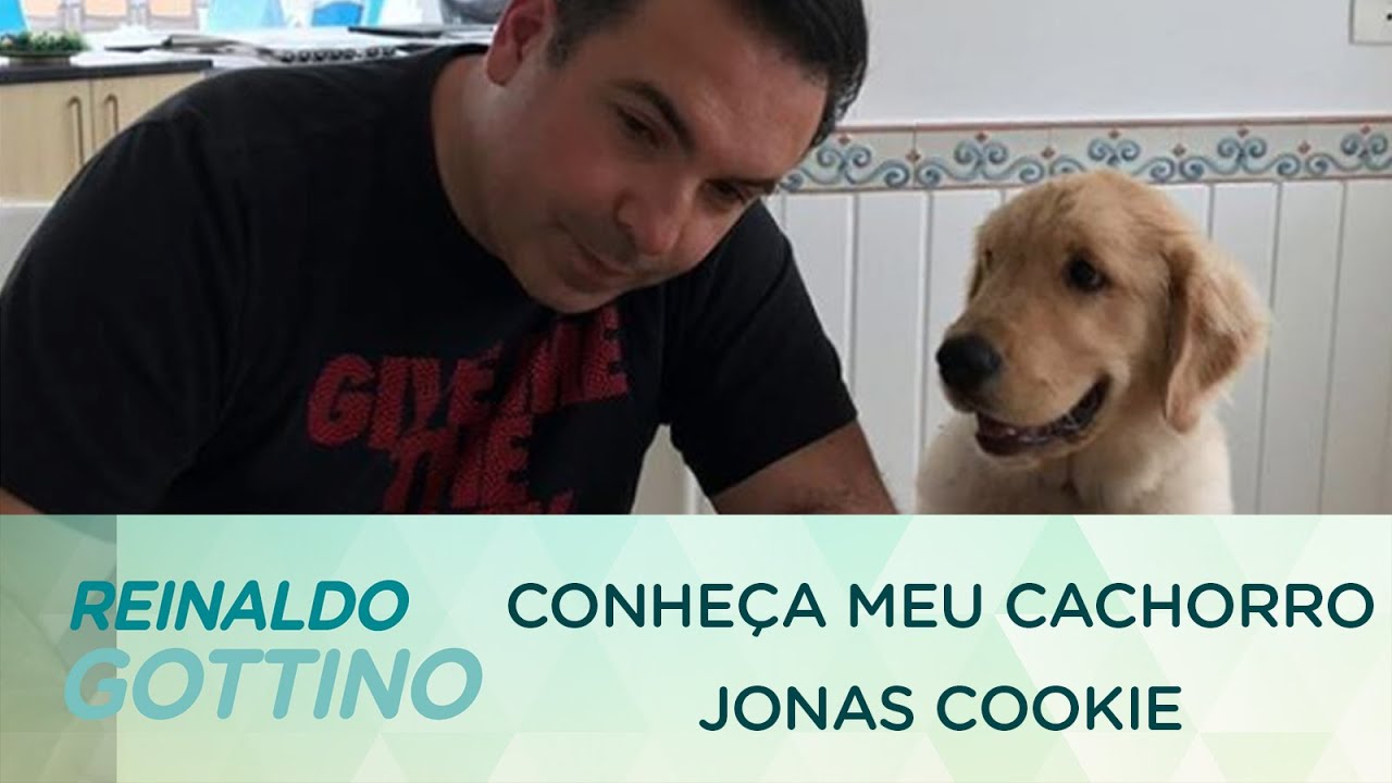 Conheça meu cachorro Jonas Cookie - YouTube