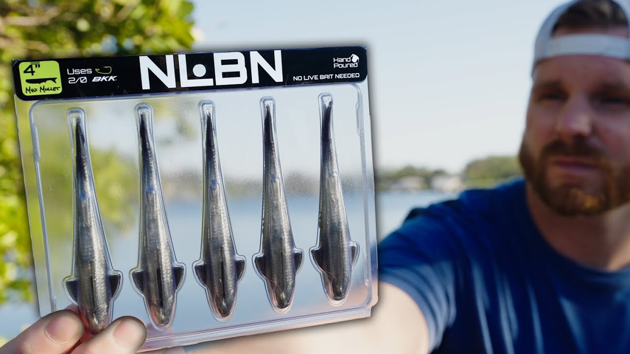 The TRUTH About NLBN (No Live Bait Needed) - YouTube