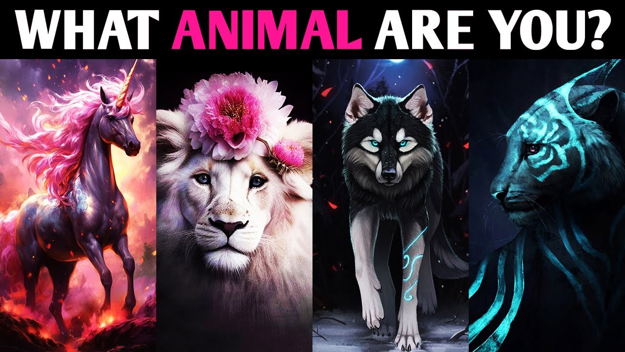 WHAT ANIMAL ARE YOU? Quiz Personality Test - Pick One Magic Quiz - YouTube