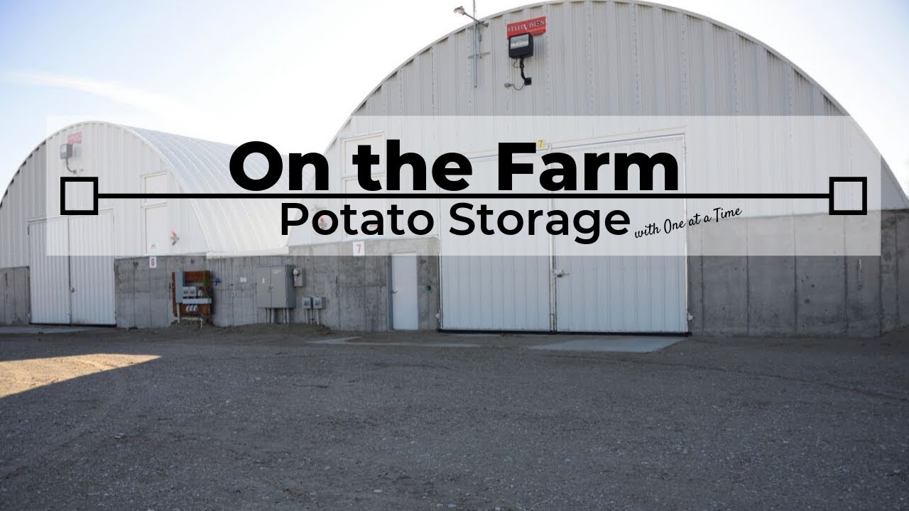 Potato Storage - YouTube