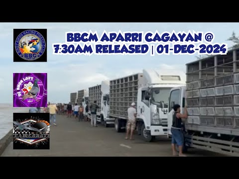 BBCM APARRI CAGAYAN @ 7:30AM | 01-DEC-2024 | BIRDY BIRDS RACING PIGEON CLUB | NORTH DERBY RACE ...