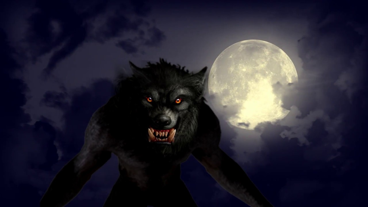 Hombre Lobo Horror Mitad Animal Werewolf Imágenes Y Fotos 123RF