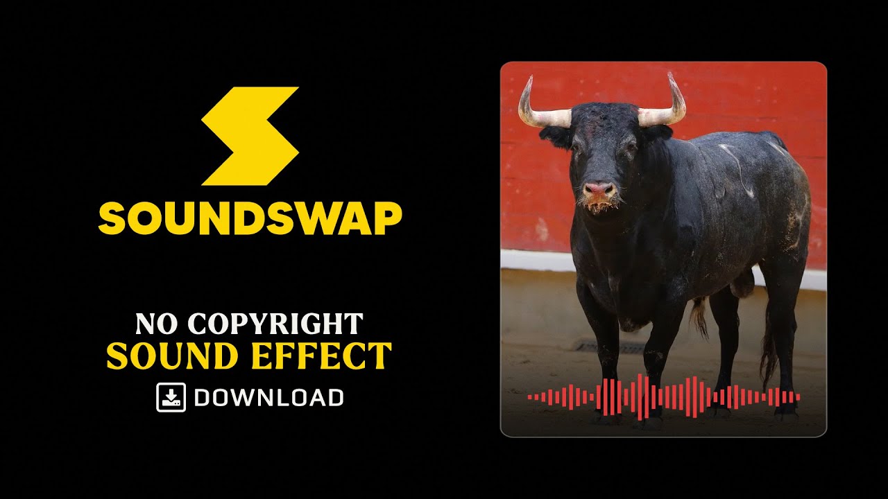 Free Fierce Bull Sound Effect by SoundSwap - YouTube