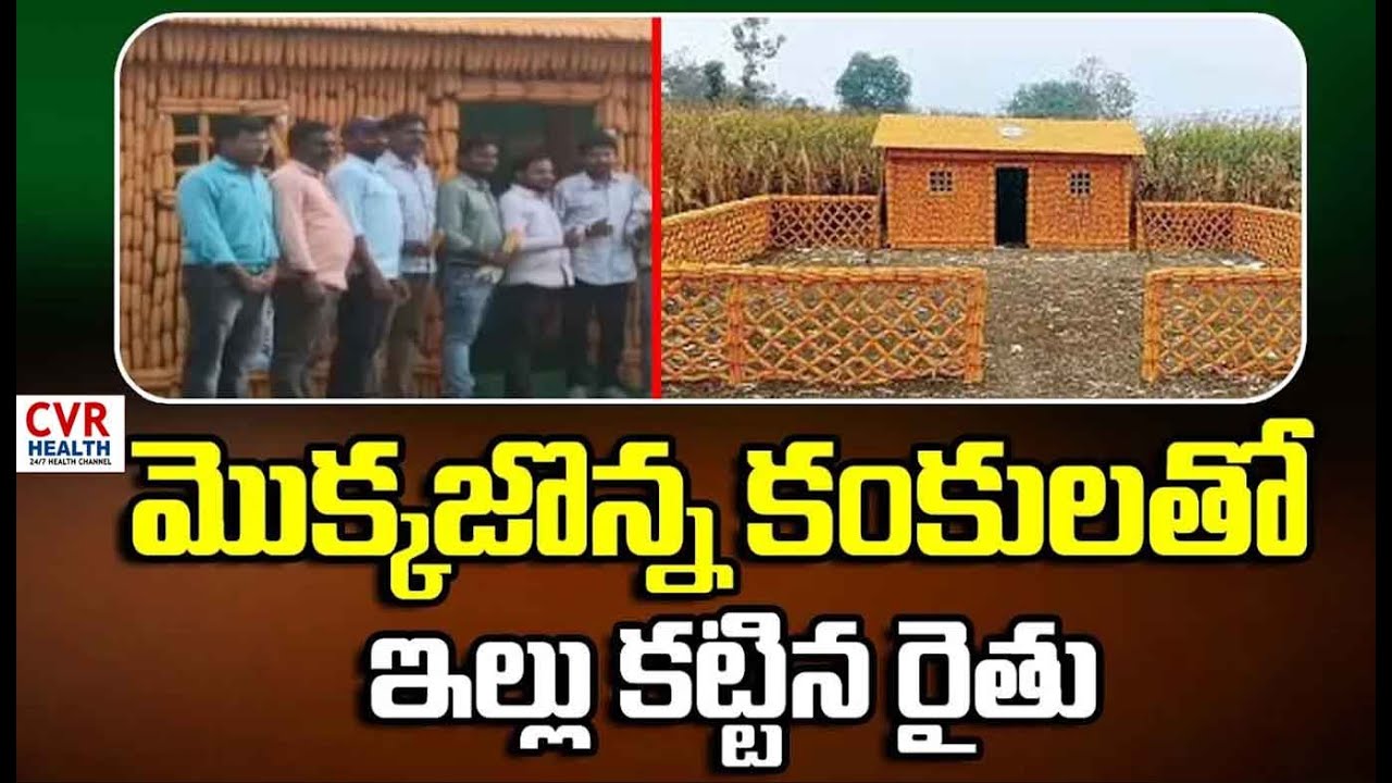 మొక్కజొన్న కంకులతో ఇల్లు కట్టిన రైతు | Raithe Raju | CVR Health - YouTube
