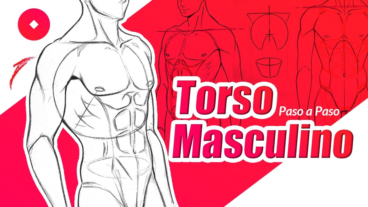COMO DIBUJAR TORSO MASCULINO | tutorial de dibujo de anatomía Guz ...