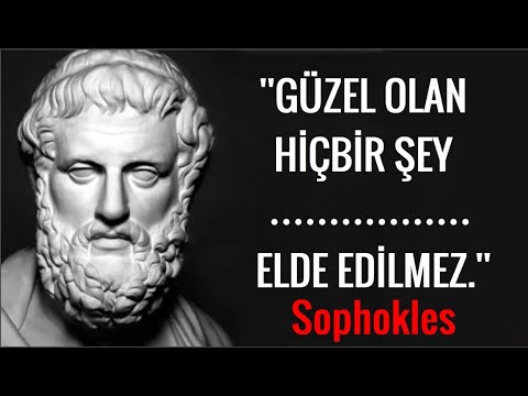 Taşı Delen Suyu Gücü Değil, Damlaların Sürekliliğidir.. Kısa Özlü Felsefi Sözler