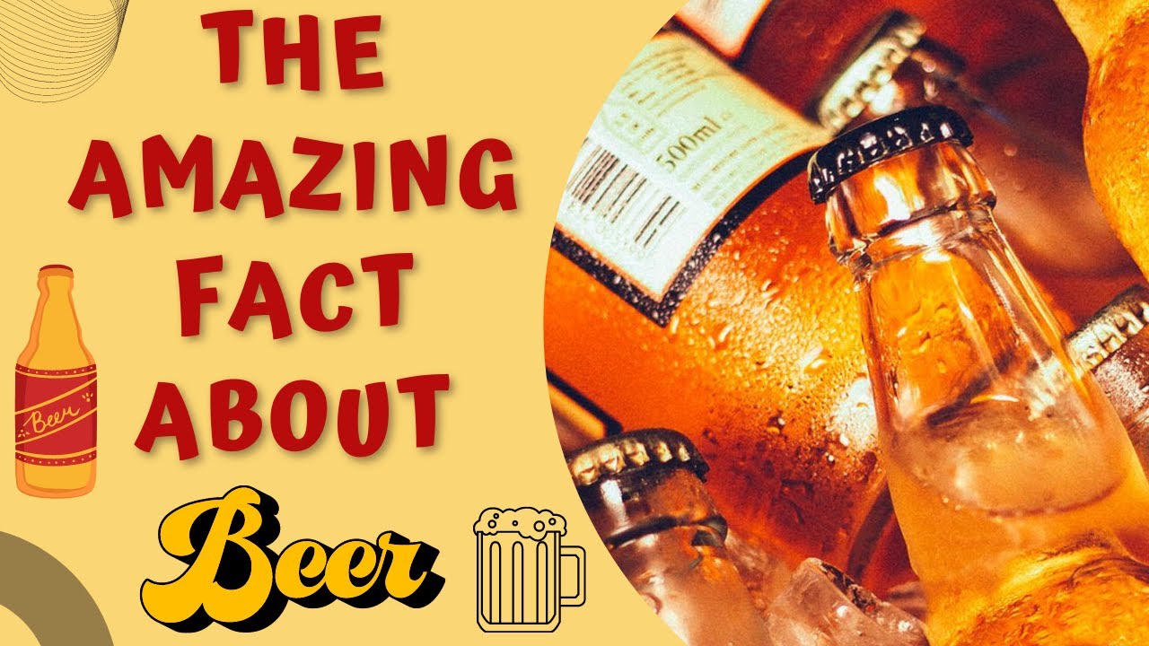 20 Amazing Facts About 'Beer' | Interesting Facts | Hindi Facts | BEER ...