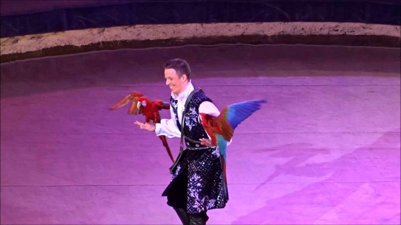 Russian Circus of Yuri Nikulin. Macaws - YouTube