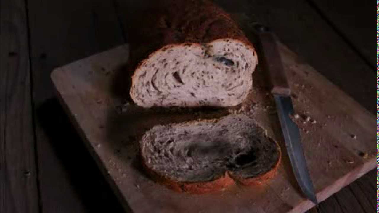 CURIO SHOP - Jefferson Ergot Farm - YouTube