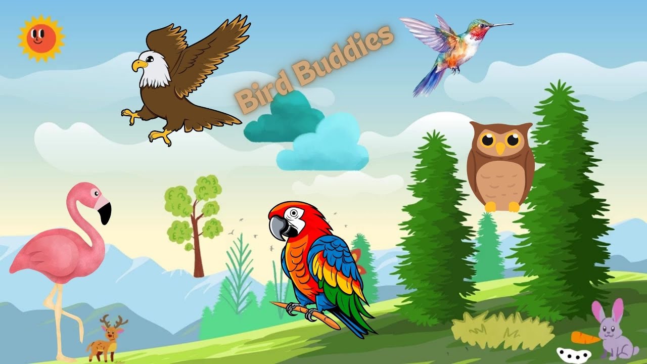 Bird Buddies: Learn About Amazing Birds- Animation Kids - YouTube