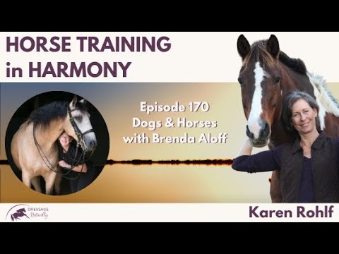 EP170: Dogs & Horses with Brenda Aloff - YouTube
