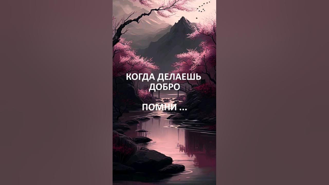 #22 Жизненная мудрость #мудрыеслова #цитатадня #мотивация - YouTube