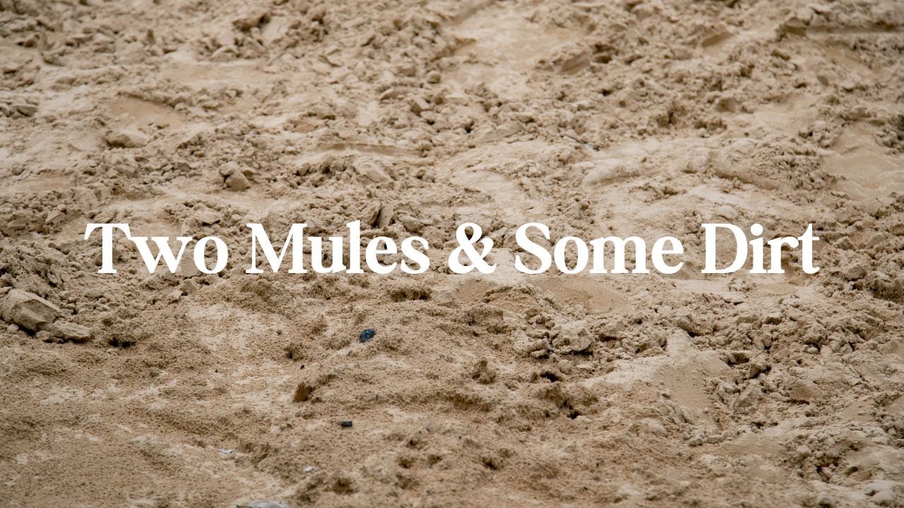 Two Mules & Some Dirt | Pastor Jesse Jernigan (2.9.25) - YouTube
