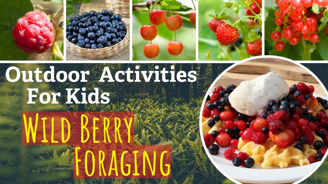 Wild Berry Foraging (Outdoor Activity Ideas for Kids) - YouTube