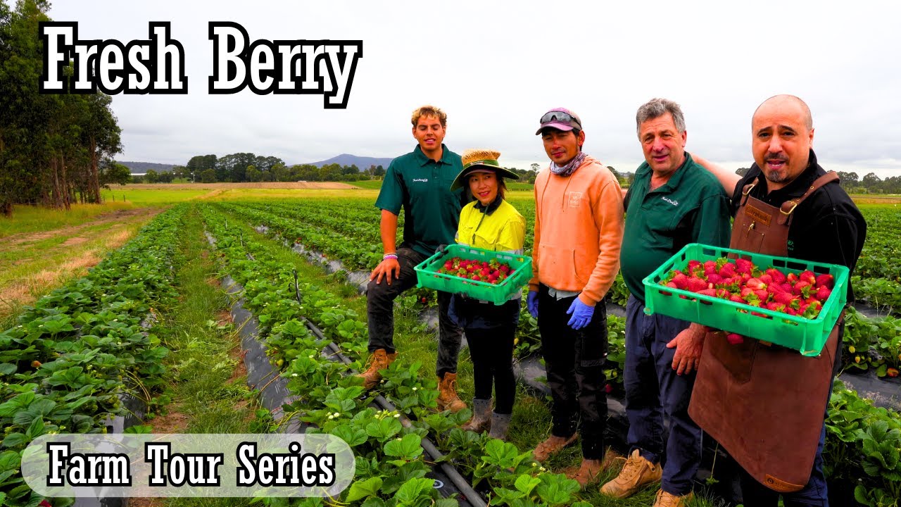 Fresh Berry Coldstream - Greenlands Farm Tour Series - YouTube