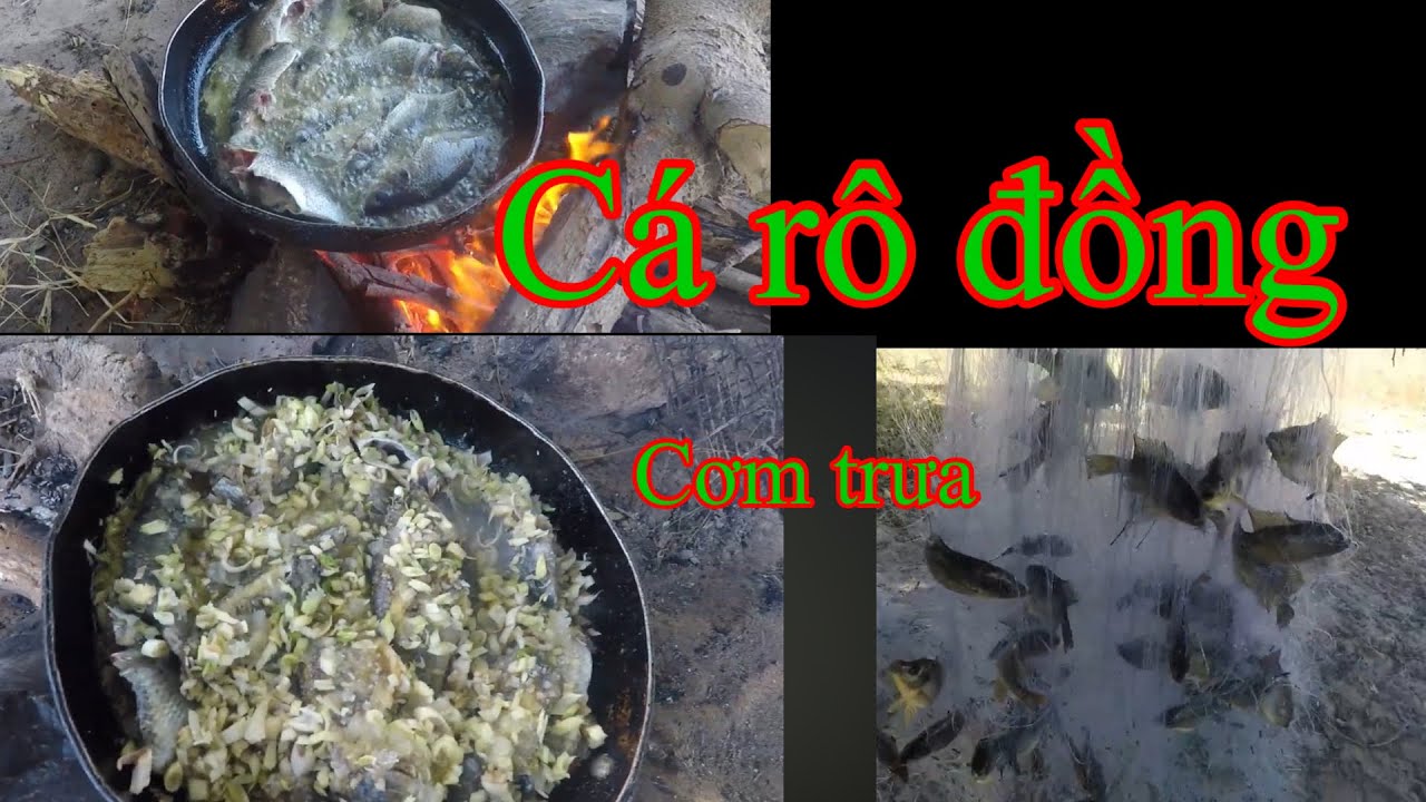 trung dam ca song ae na thu no say bon sai nghiep du - YouTube