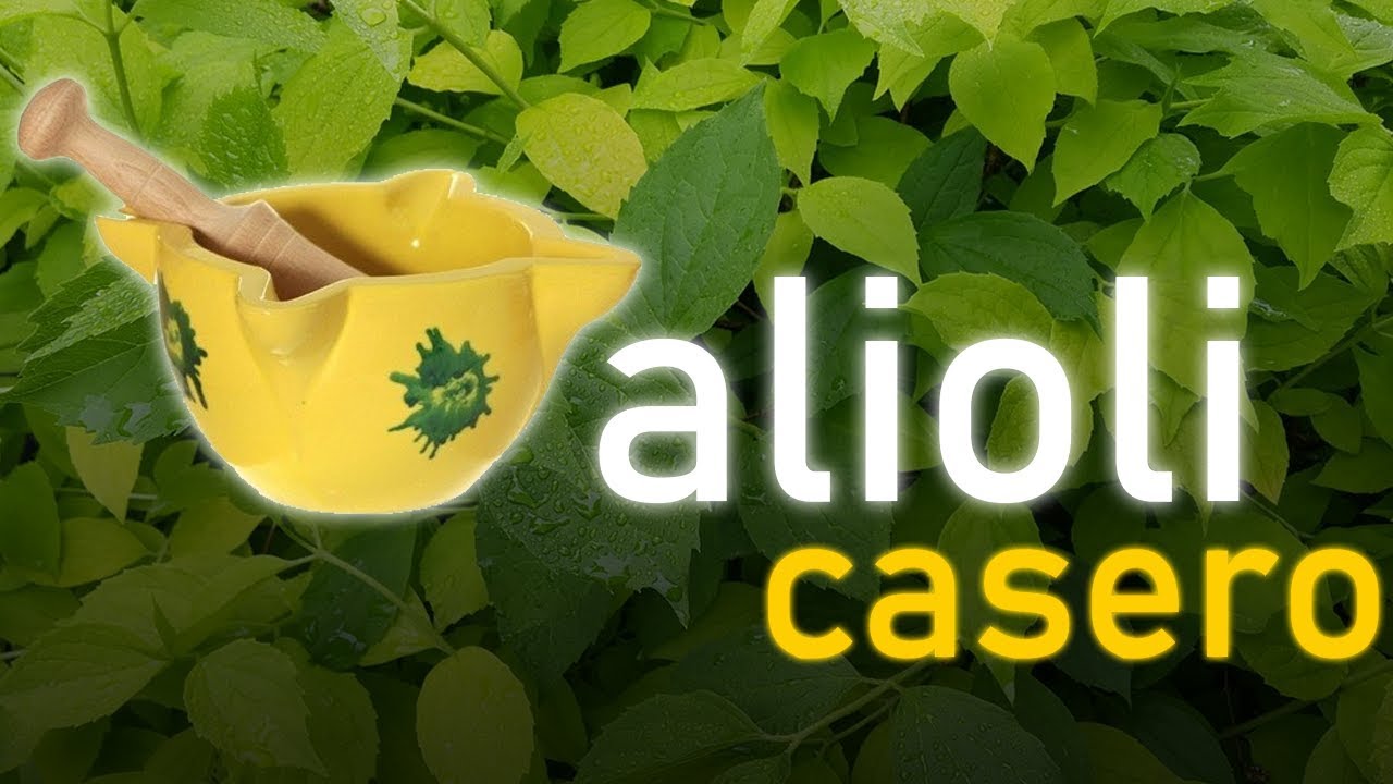 Cómo hacer ALIOLI - Receta de all i oli casero - YouTube