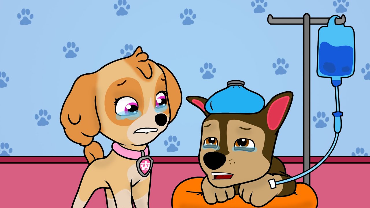 Undo Paw Patrol Chase x Skye Chase got Fever Sad Song - YouTube