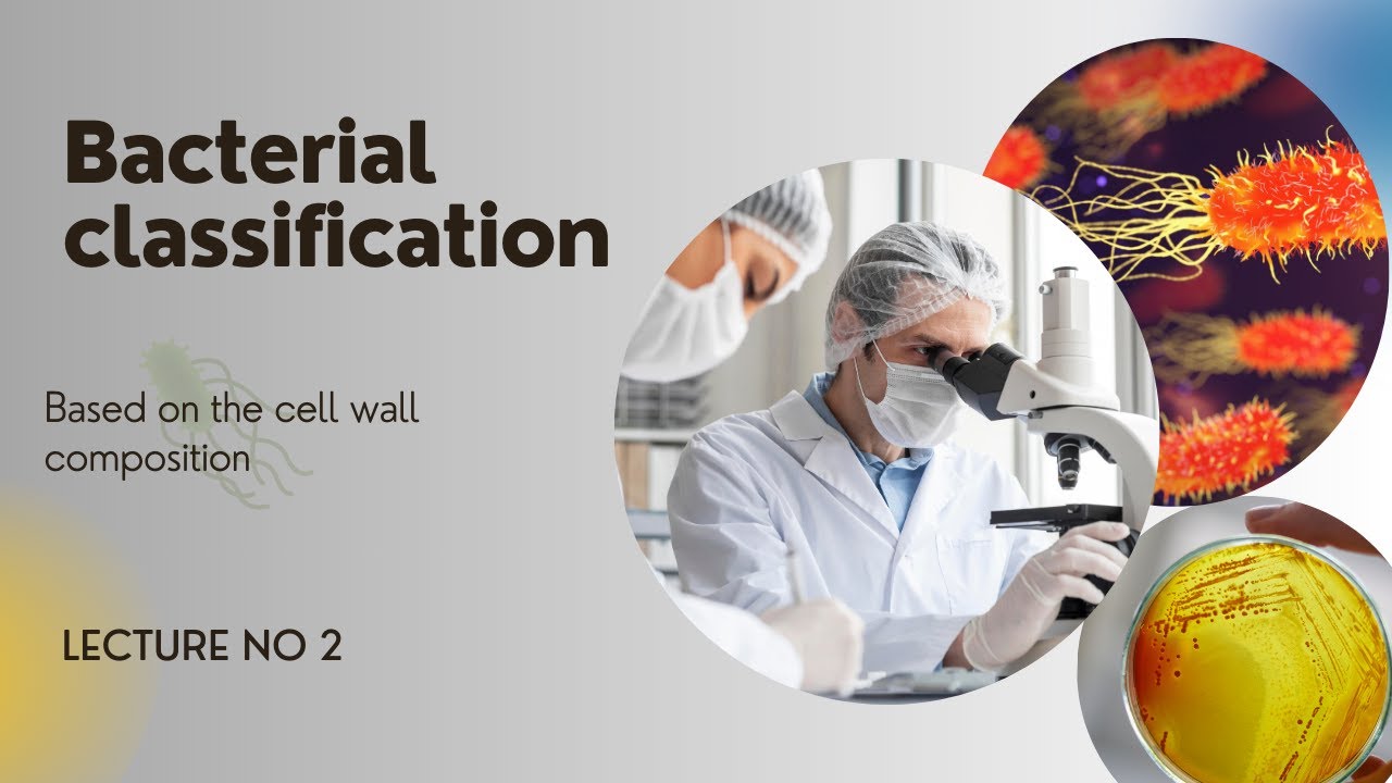 "Bacterial Classification Based on Cell Wall Composition | Urdu & Hindi ...