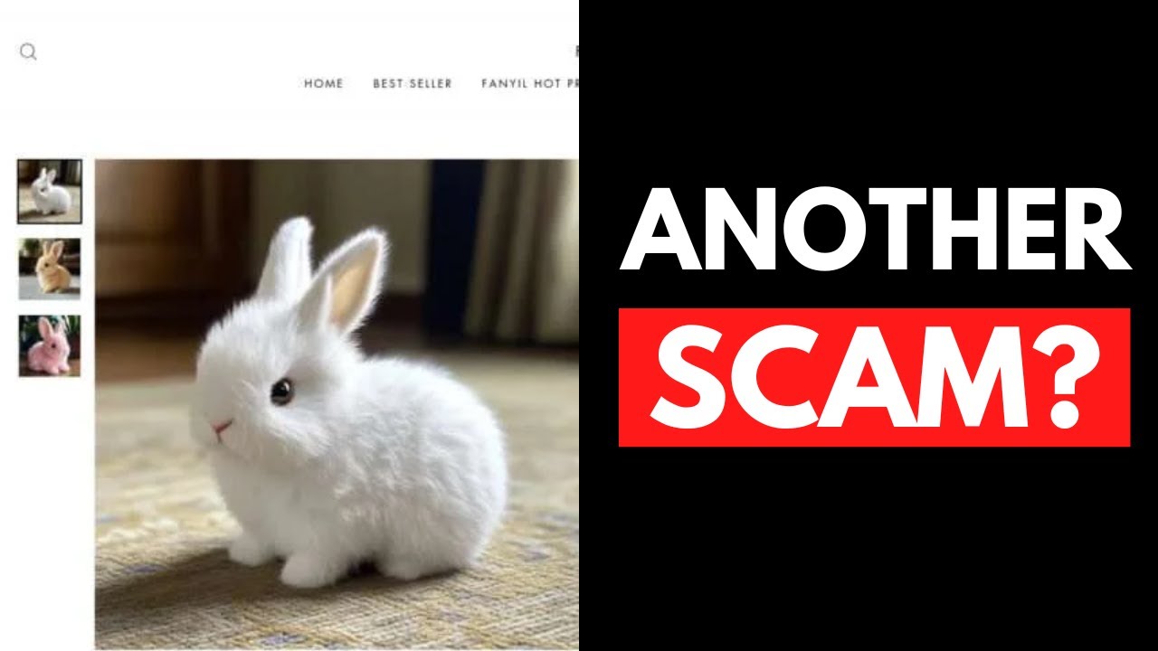 Fanyil BunnyPal Review - YouTube