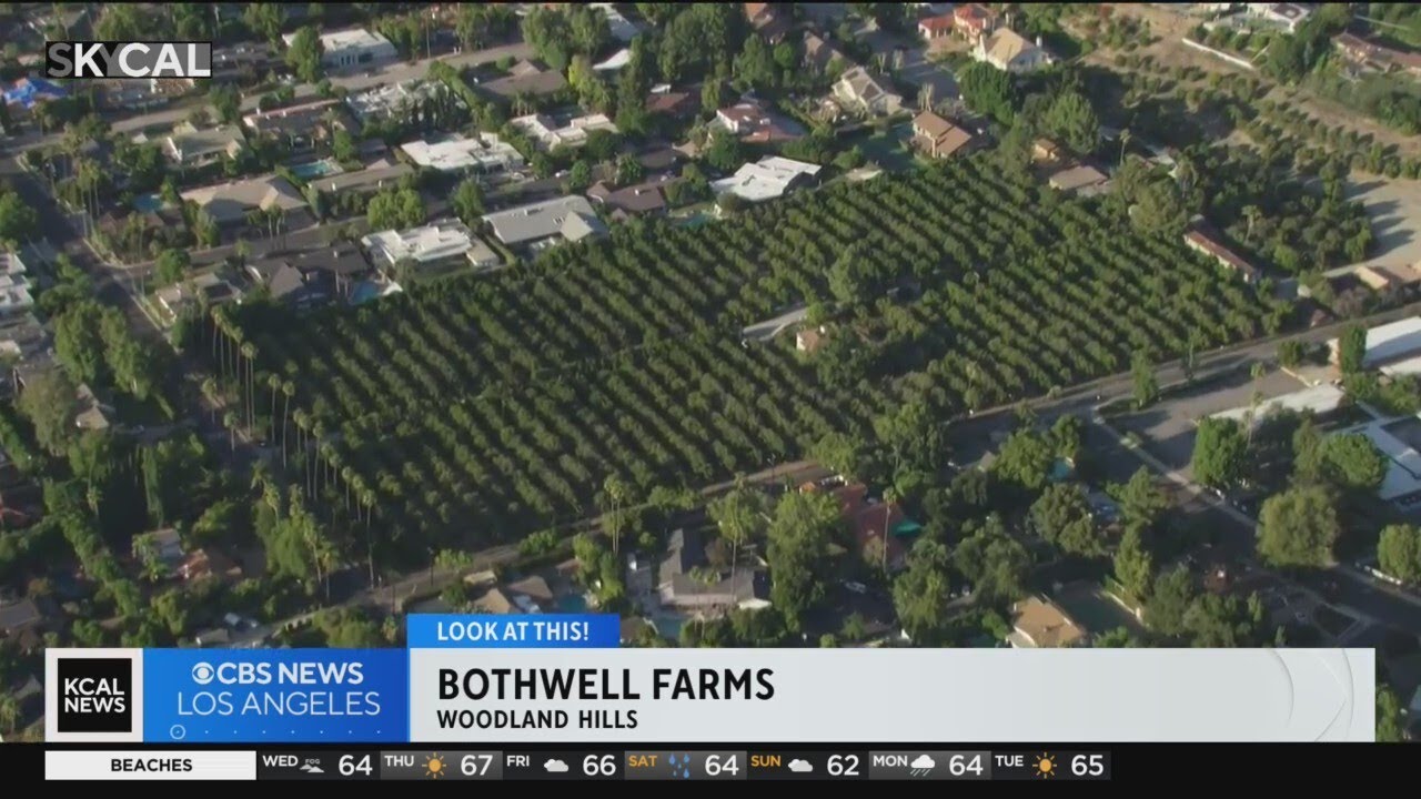 Bothwell Farms | Look At This! - YouTube