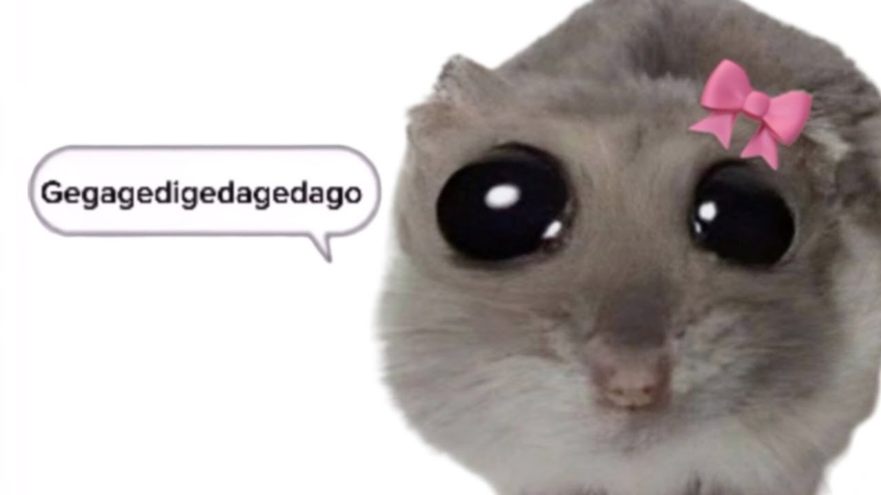 Gedagedigedagedago lyrics (ft. sad hamster 🥲) - YouTube