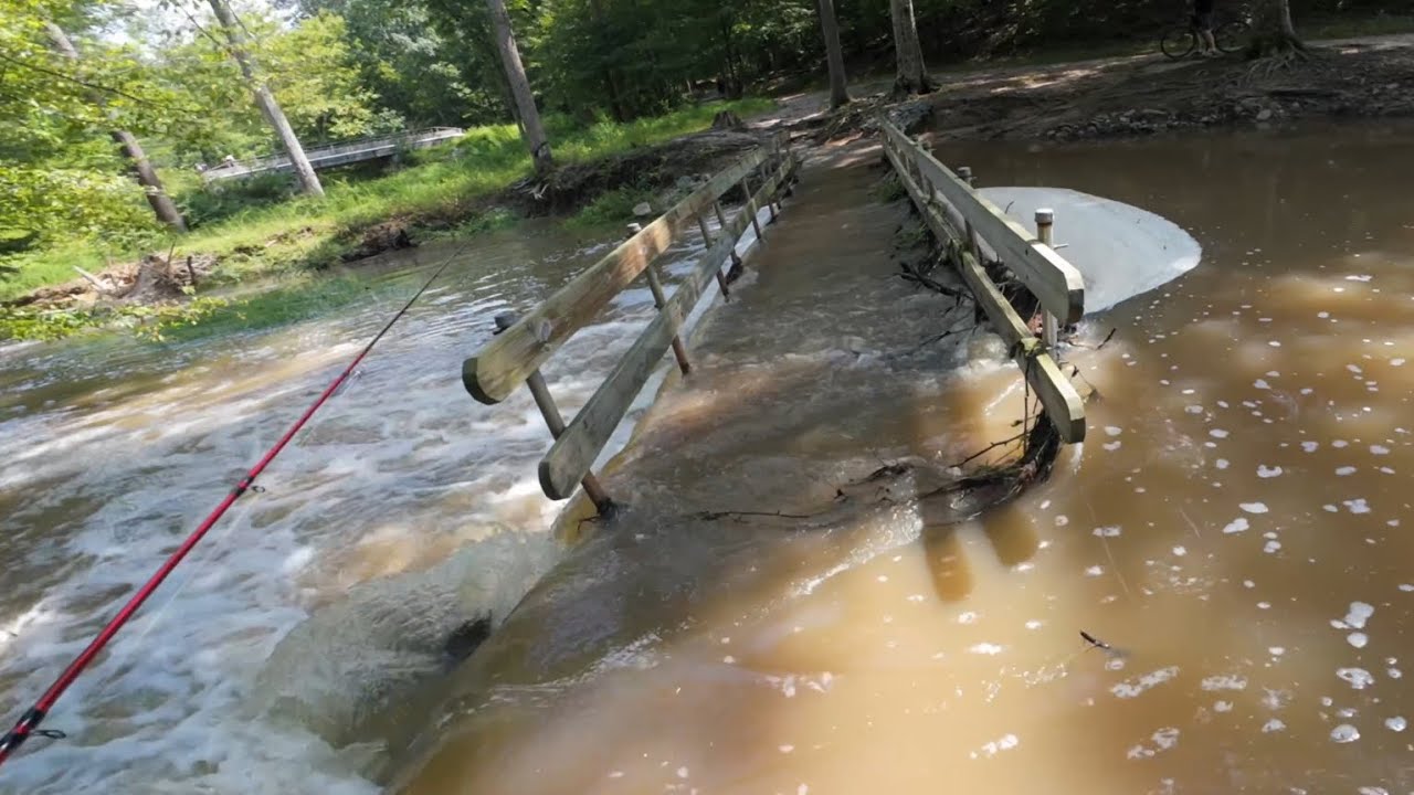 Beaver Dam Bass. MONSTER - YouTube