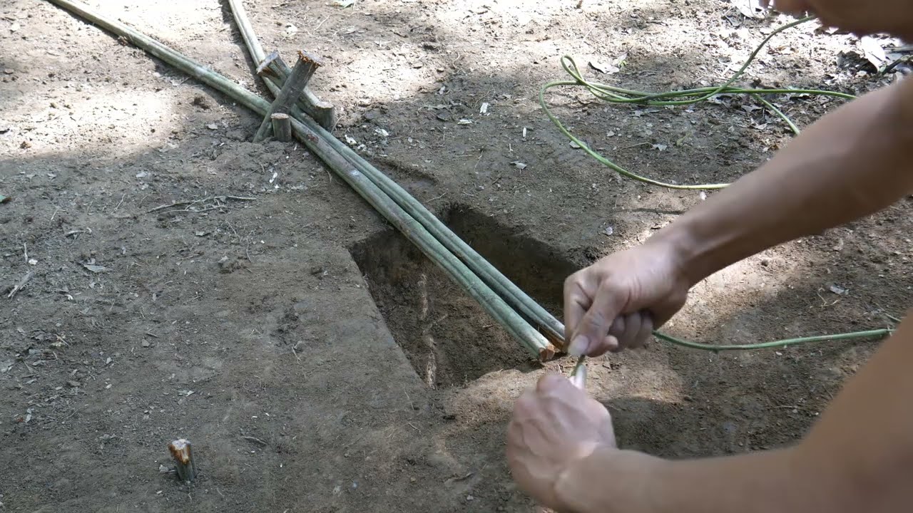 Creative Amazing Primitive Wild Chicken Trap in the Forest for Catching ...