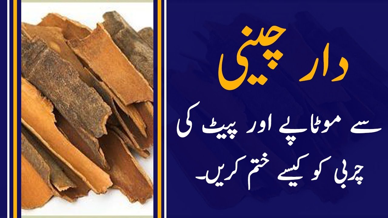 Daar Cheeni for Weight Loss in Urdu/Hindi - Cinnamon Benefits - Daar ...