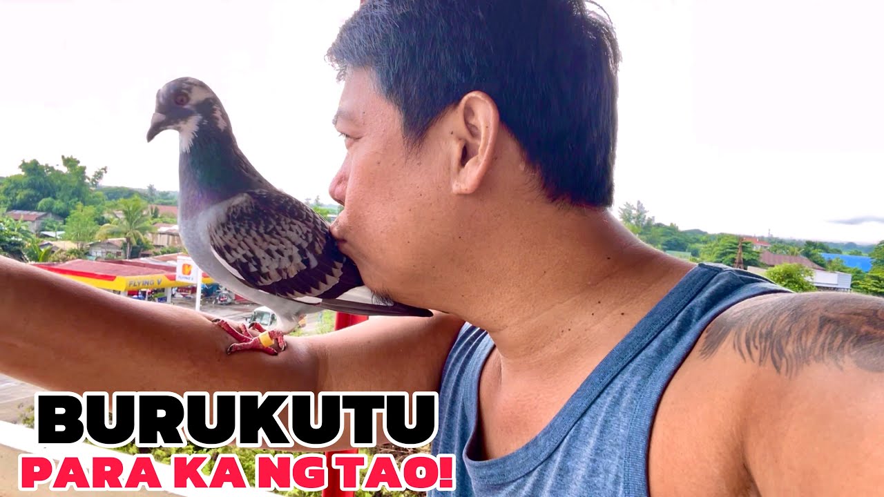 EP723 - GALING TALAGA NG BAGU KUNG KAIBIGAN! - YouTube