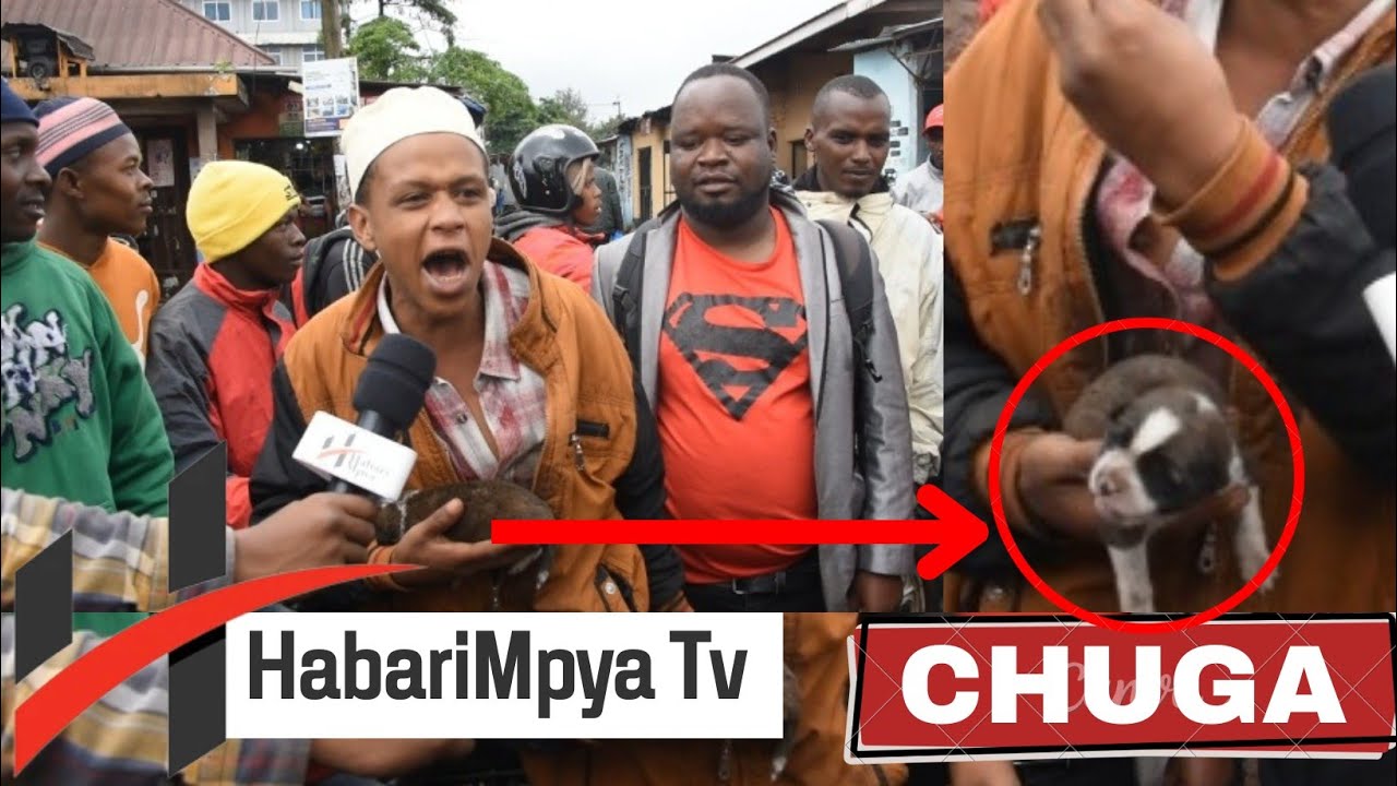 MAKONDA AKUTANA na MAFURIKO ARUSHA, CHALII wa CHUGA AOKOA MBWA, YANI ni ...