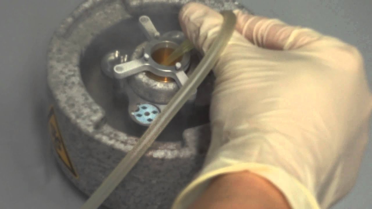 Cryo TEM sample preparation using Vitrobot - YouTube