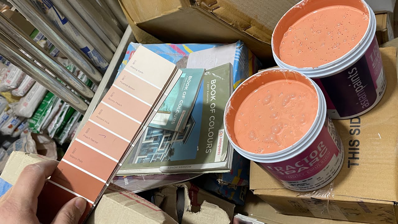 Peach nector colour | best colour combination sahde for house interior ...