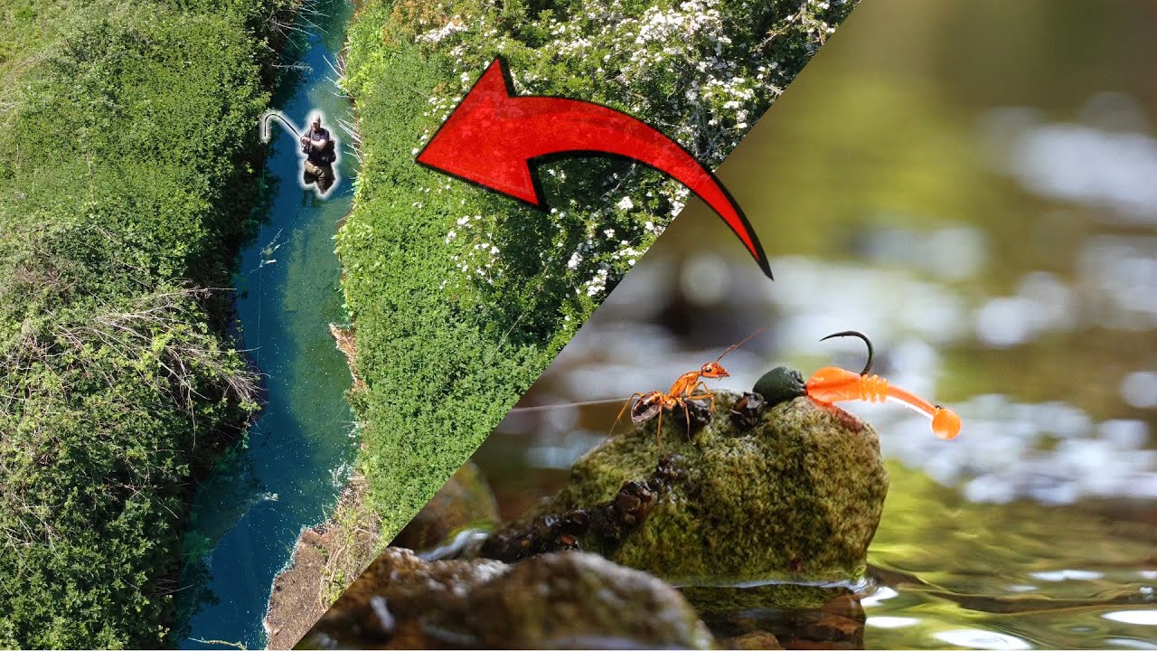 Can This Microscopic Lure Catch a Ditch Giant? - YouTube
