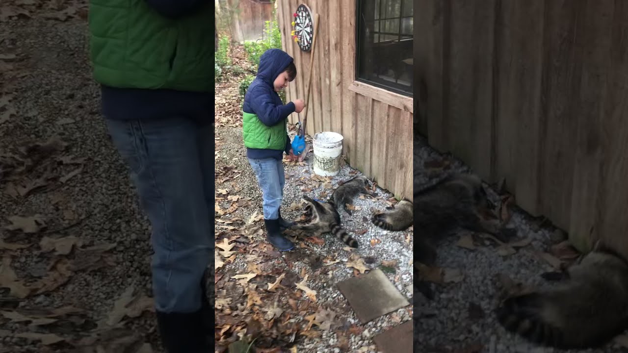 Young trapper delight! - YouTube