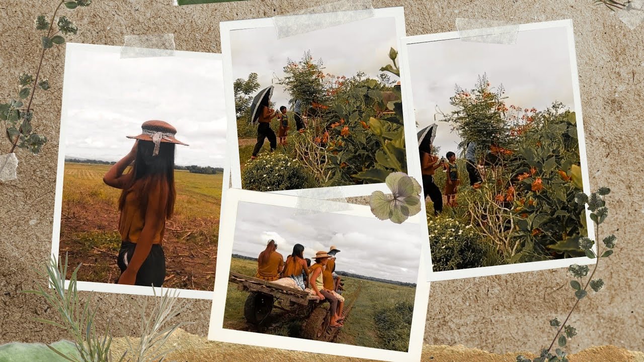 🦋Showing province life - YouTube