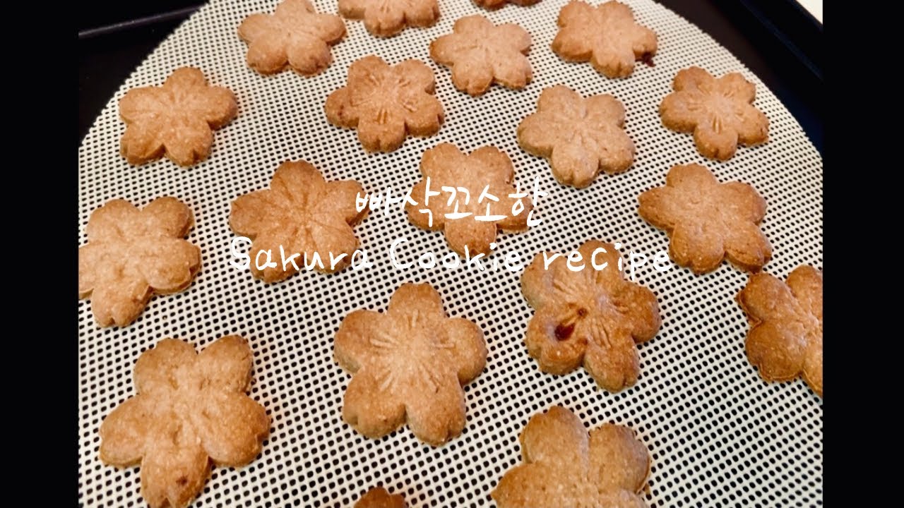 벚꽃시즌에 딱 어울리는 통밀 벚꽃쿠키 레시피 : Sakura cookie recipe - YouTube