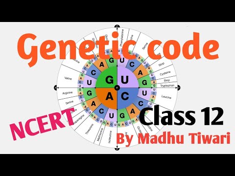 (part -3) Genetic code | Class 12 | NCERT |@knowledge is power By Madhu ...